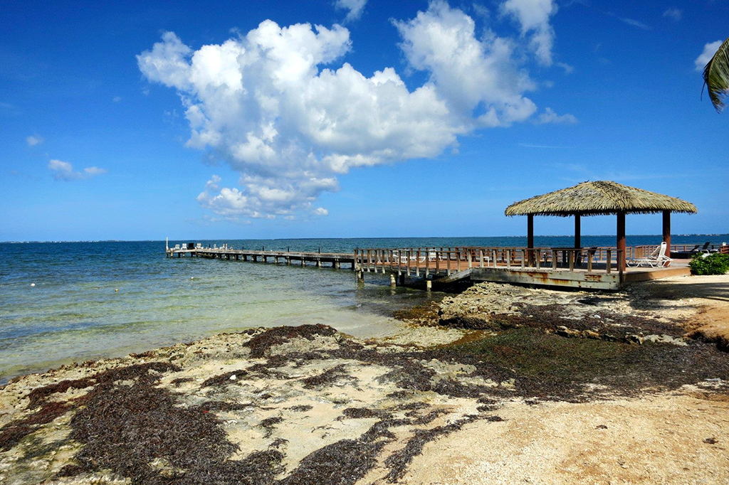 One day on Grand Cayman (Guide) – What to do on Grand Cayman