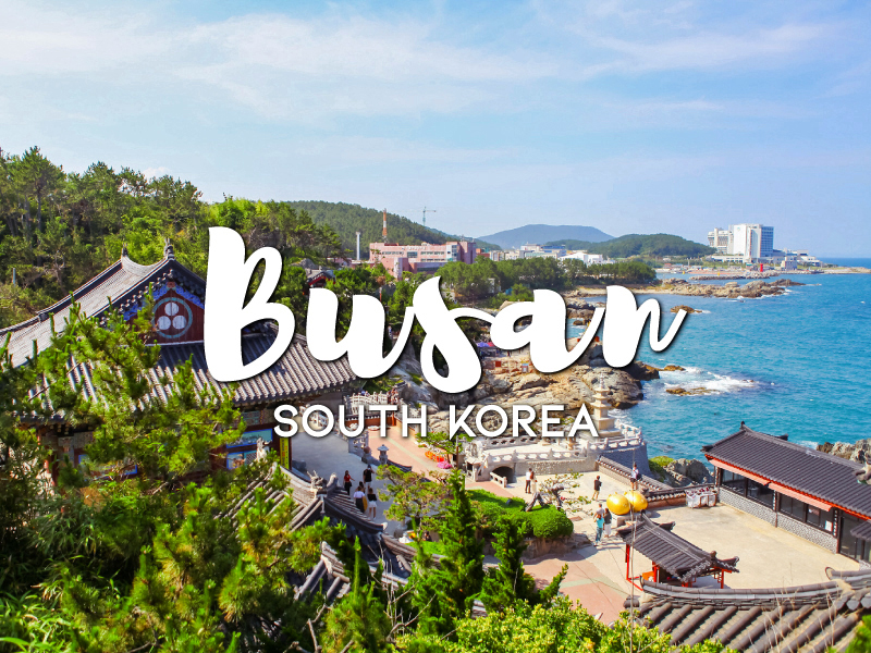 Busan South Korea Rapidly Losing Its Youths To Seoul, Ageing Busan